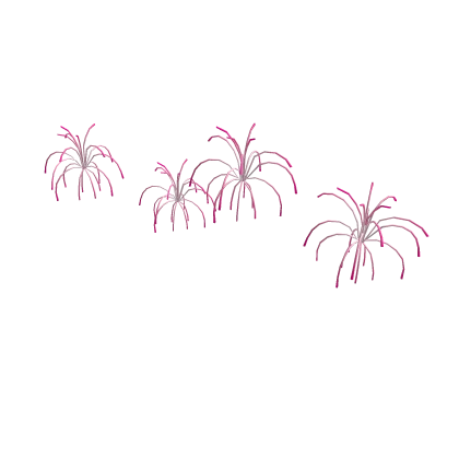 The Great Fireworks Aura Pink | Roblox Item - Rolimon's