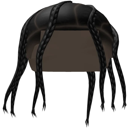 Spiral Braids | Roblox Item - Rolimon's