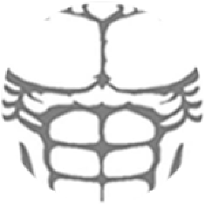 Abs for noobs - Roblox