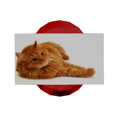 Spooky Red Cat | Roblox Item - Rolimon's