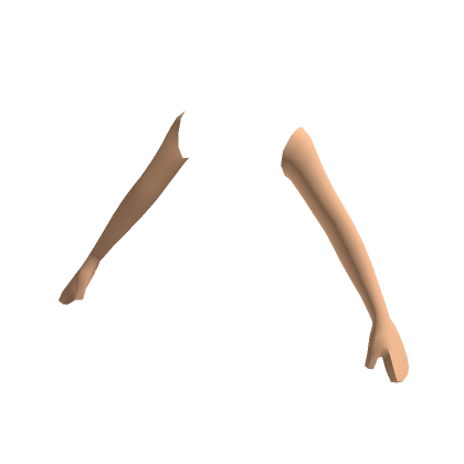 Arms | Roblox Item - Rolimon's