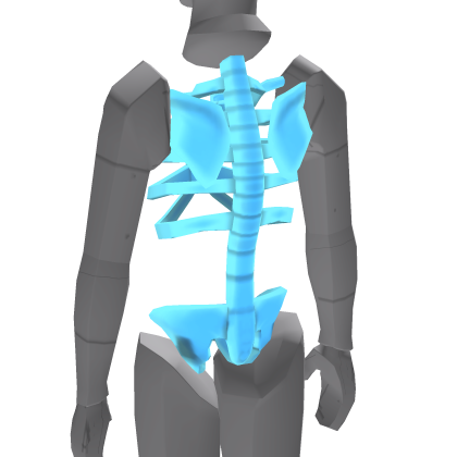 Glowing X-Ray Skeleton - Roblox