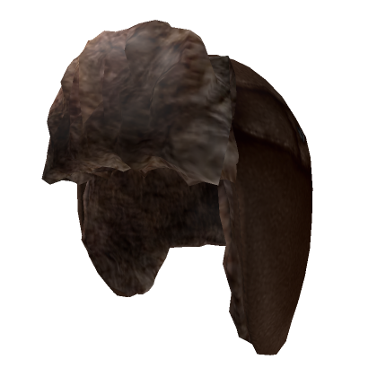 Brown Ushanka | Roblox Item - Rolimon's