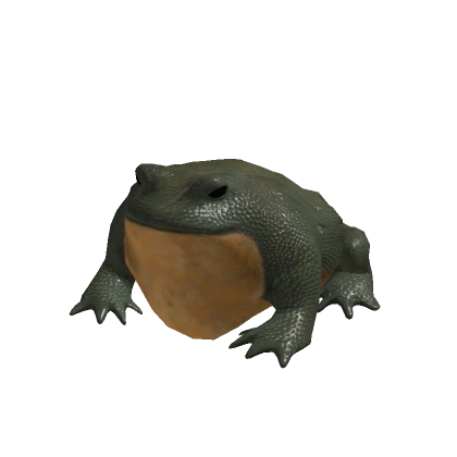 very BIG Frog Suit | Roblox Item - Rolimon's