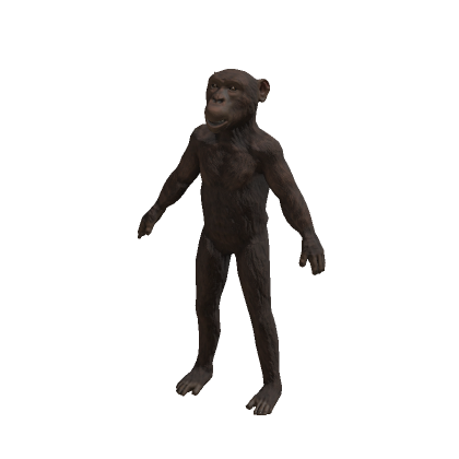 Monkey Suit Realistic Chimpanzee Costume | Roblox Item - Rolimon's