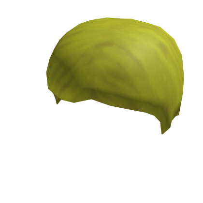 Shiny Hair | Roblox Item - Rolimon's