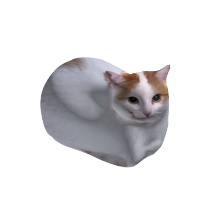 Wally Carryable Cat | Roblox Item - Rolimon's