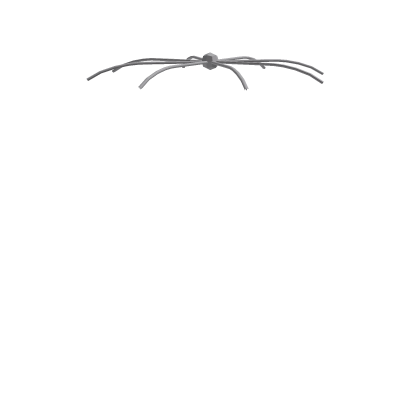 Spider - Dynamic Head | Roblox Item - Rolimon's