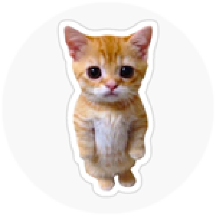 gato - Roblox