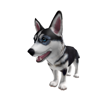 Dog Husky Puppy | Roblox Item - Rolimon's