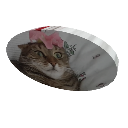 [⏳]🎀 Cat mask 🎀's Code & Price - RblxTrade