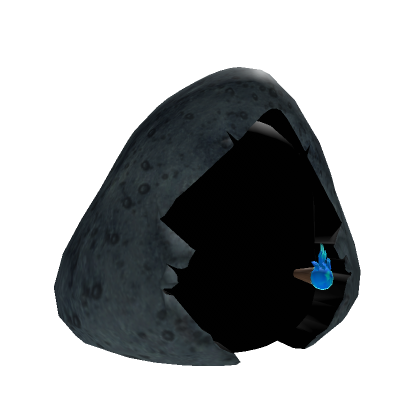 The Whale Hunter's Hood's Code & Price - RblxTrade