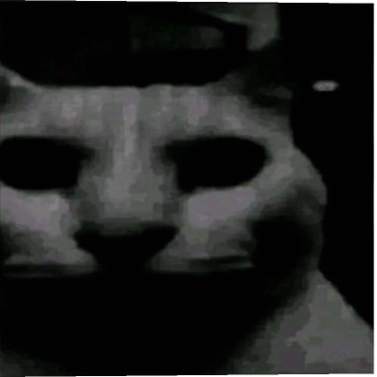 Uncanny Cat Kitten Meme PFP Profile Picture's Code & Price - RblxTrade