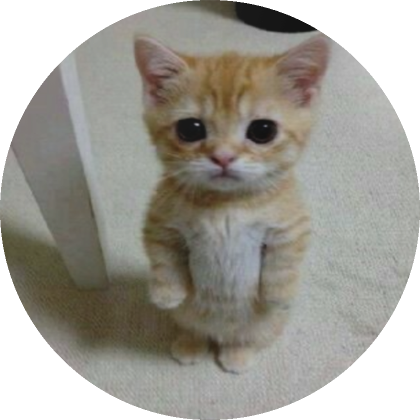 Ginger El Gato Cat PFP | Roblox Item - Rolimon's