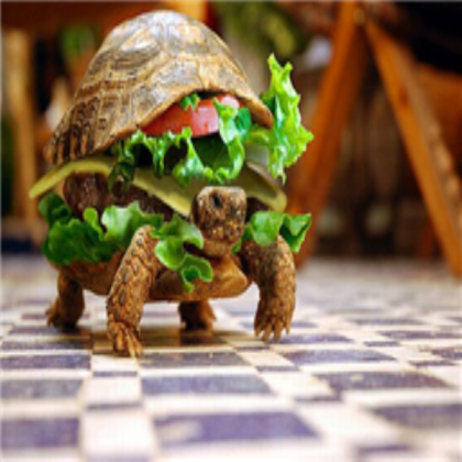 Burger Turtle