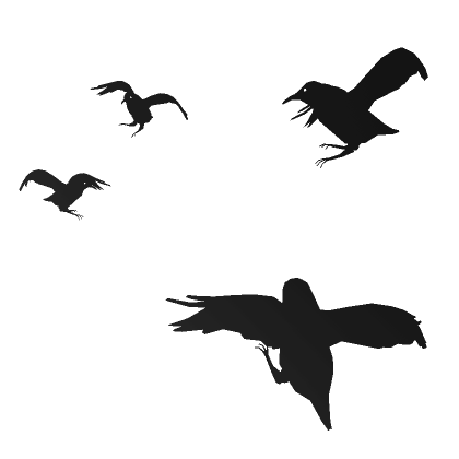 Crow | Roblox Item - Rolimon's