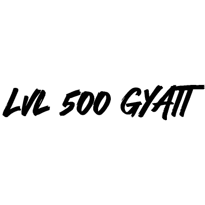 LEVEL 500 GYATT SIGN | Roblox Item - Rolimon's