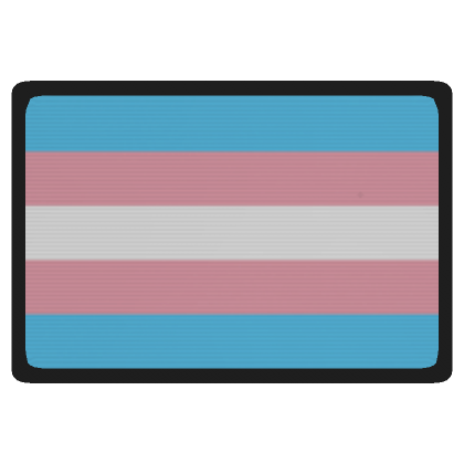 Vest Patch: Trans Pride Flag | Roblox Item - Rolimon's