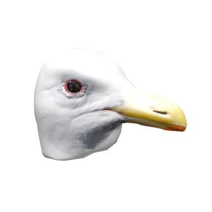 Seagull Head | Roblox Item - Rolimon's