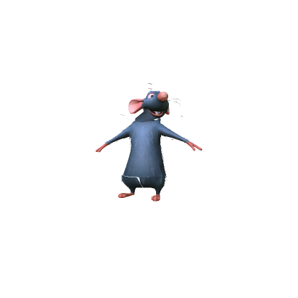 Cute Mini Remy