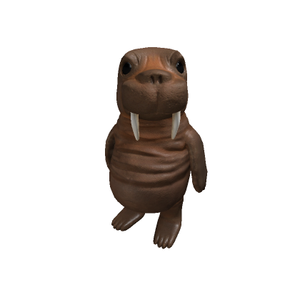 Walrus