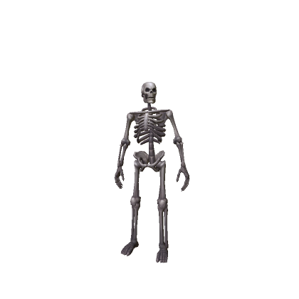 Stylized Skeleton