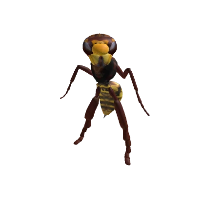 Wasp Avatar - Roblox