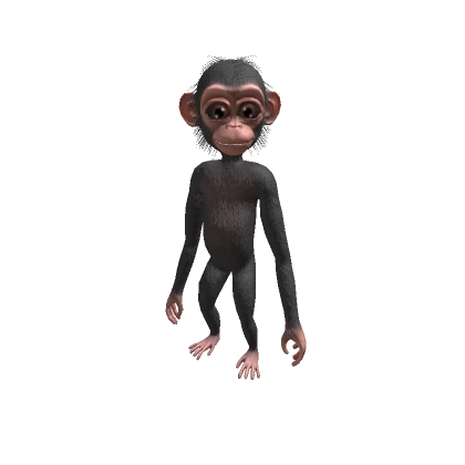 Baby Chimpanzee - Roblox