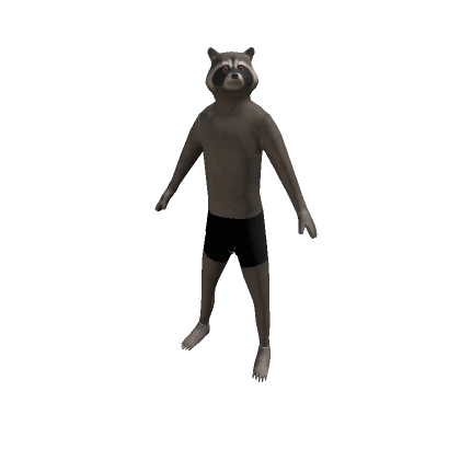 Raccoon - Roblox