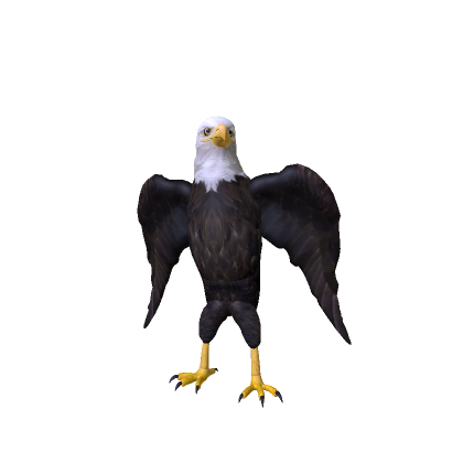 Eagle Avatar