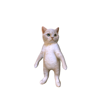Cute Chubby Cat