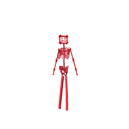 Thin Tall Skeleton