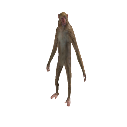 Khỉ thực tế - Roblox