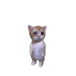 Avatar de Gato de El Gato