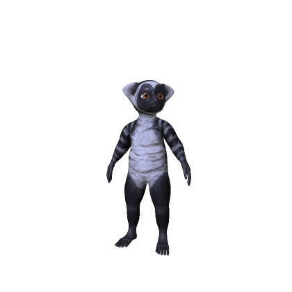 adidas Lemur