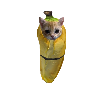 Avatar de El Gato Banna Cat - Roblox