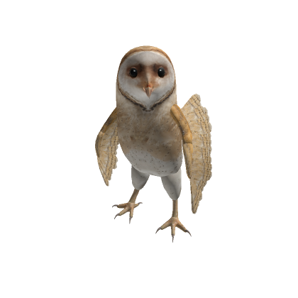 Barn Owl