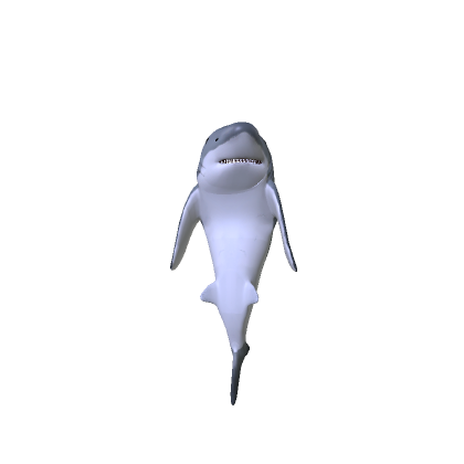 Shark