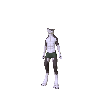 Dire Wolf Furry Bundle
