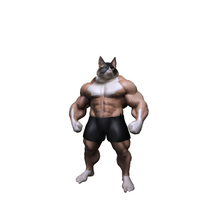 Muscle Cat