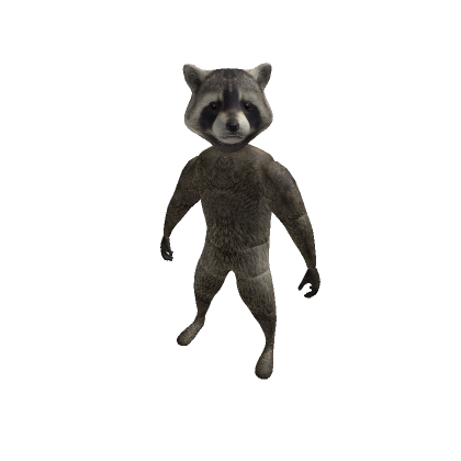Avatar de mapache - Roblox
