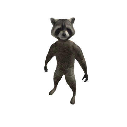 Avatar de mapache - Roblox