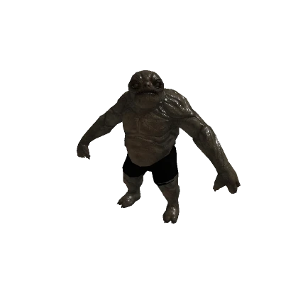 Body - Roblox