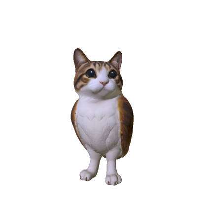 Meowl