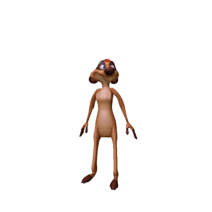 Timon