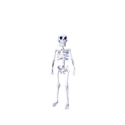 Colourable Skeleton