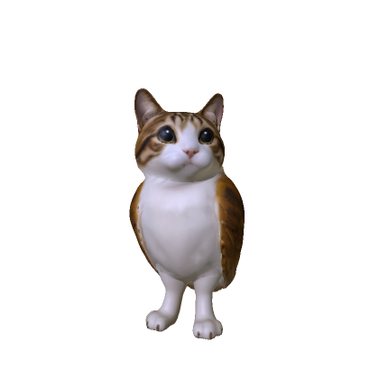 Meowl