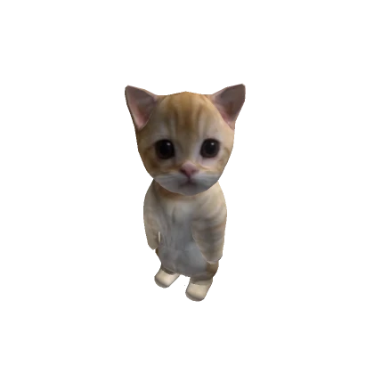 Mini Kot El Gato – Roblox