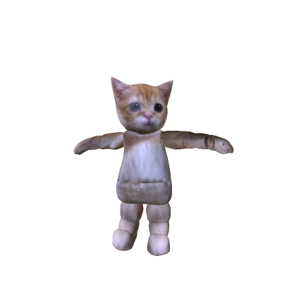 El Gato