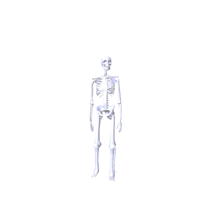 Skeleton (Recolorable)
